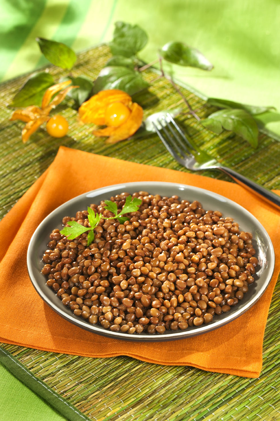 Lentilles cuisinées - Raynal et Roquelaure